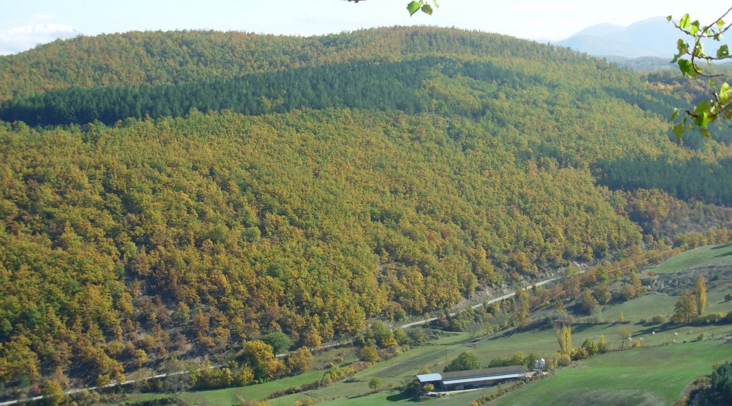 Il territorio | Comunanza Agraria di Cammoro – Sellano (PG)